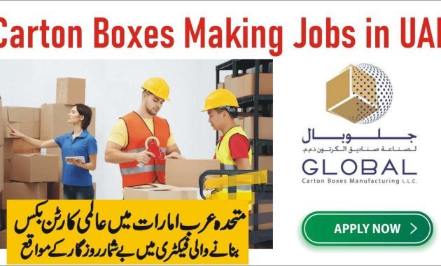 Exploring Employment Opportunities in Global Carton Boxes Manufacturing ...